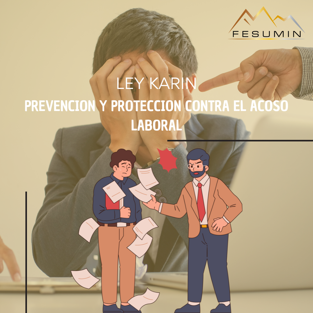 InfografÍa Ley Karin Prevención Y Protección Contra El Acoso Laboral 9455